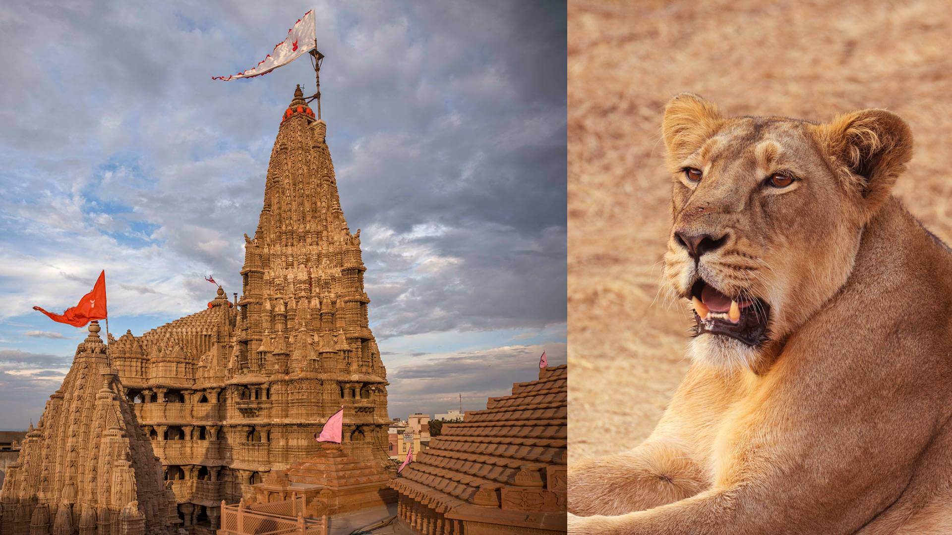 Gujarat Tourism - Top Gujarat Tourist Places | Gujarat Online